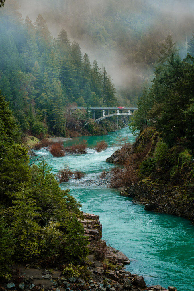 My Unforgettable Pacific Northwest Road Trip